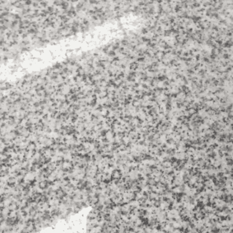 Sesame White Granite - Zenova Stone | Premium Granite and Stone Solutions